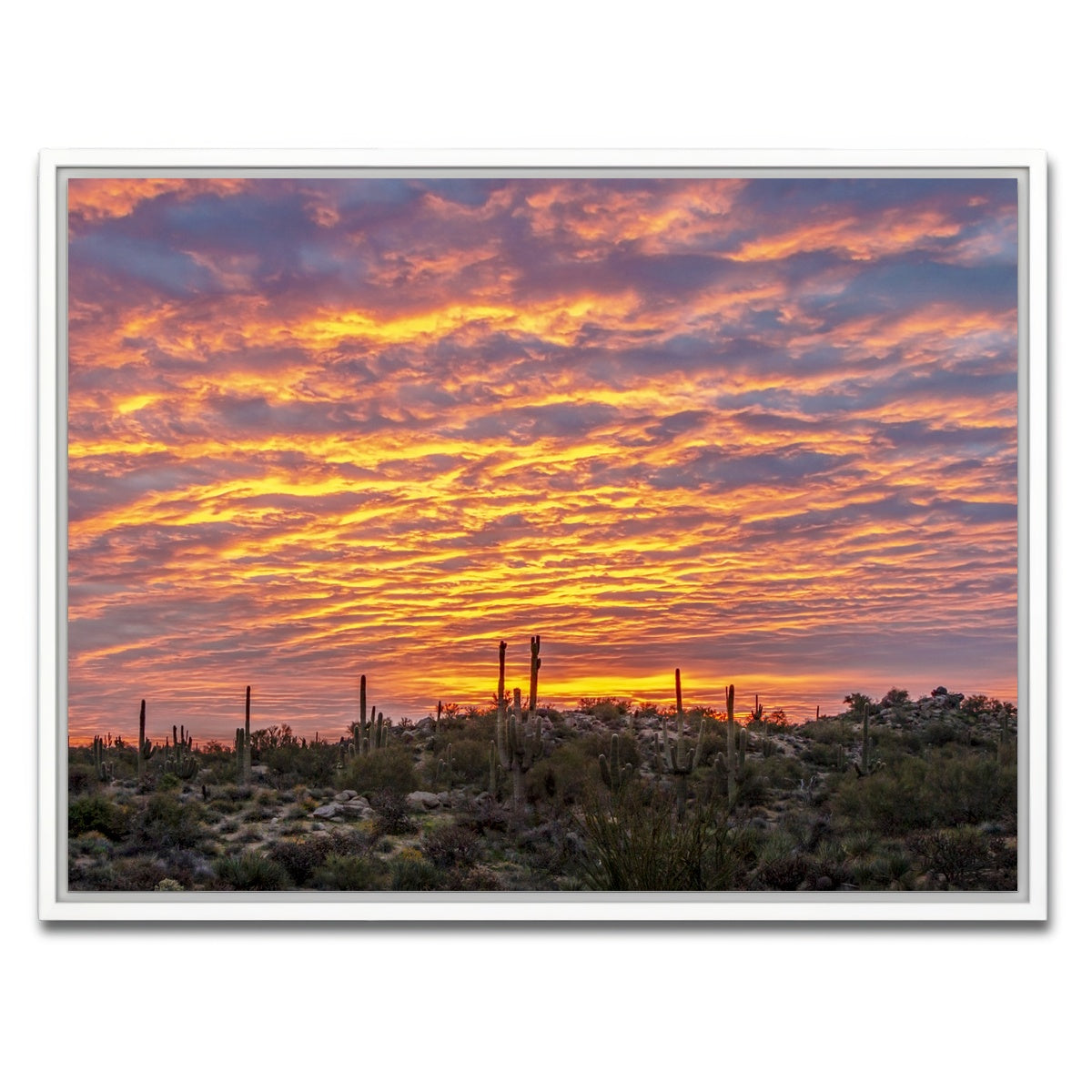 desert sunrise pattern