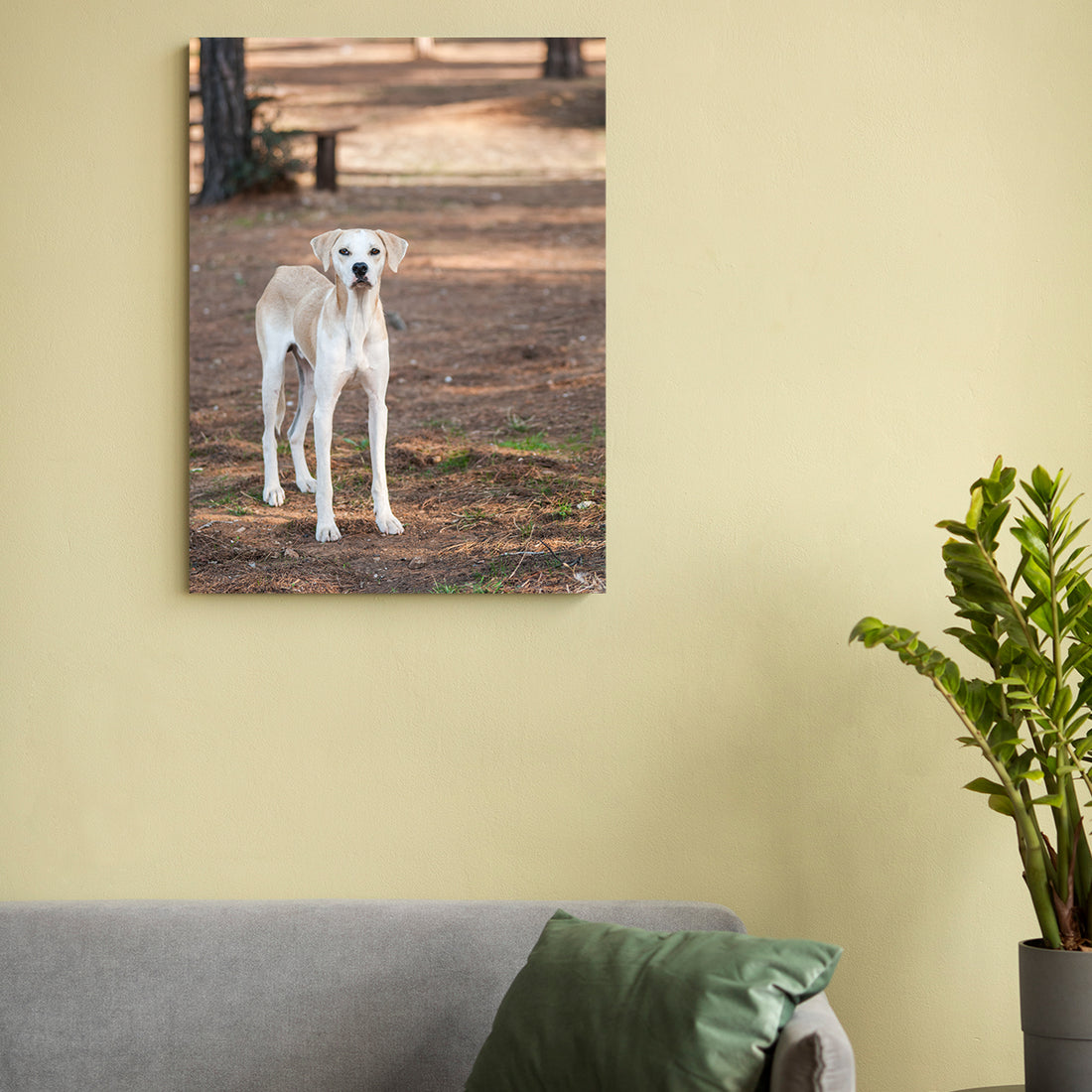 Create Your Own Canvas Wall Art